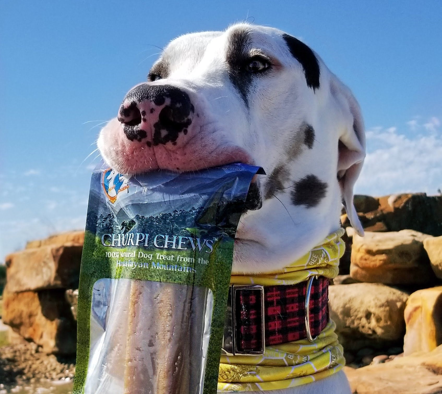 ALL Churpi Chews – BRAKE-FAST ~ Quality Pet Products