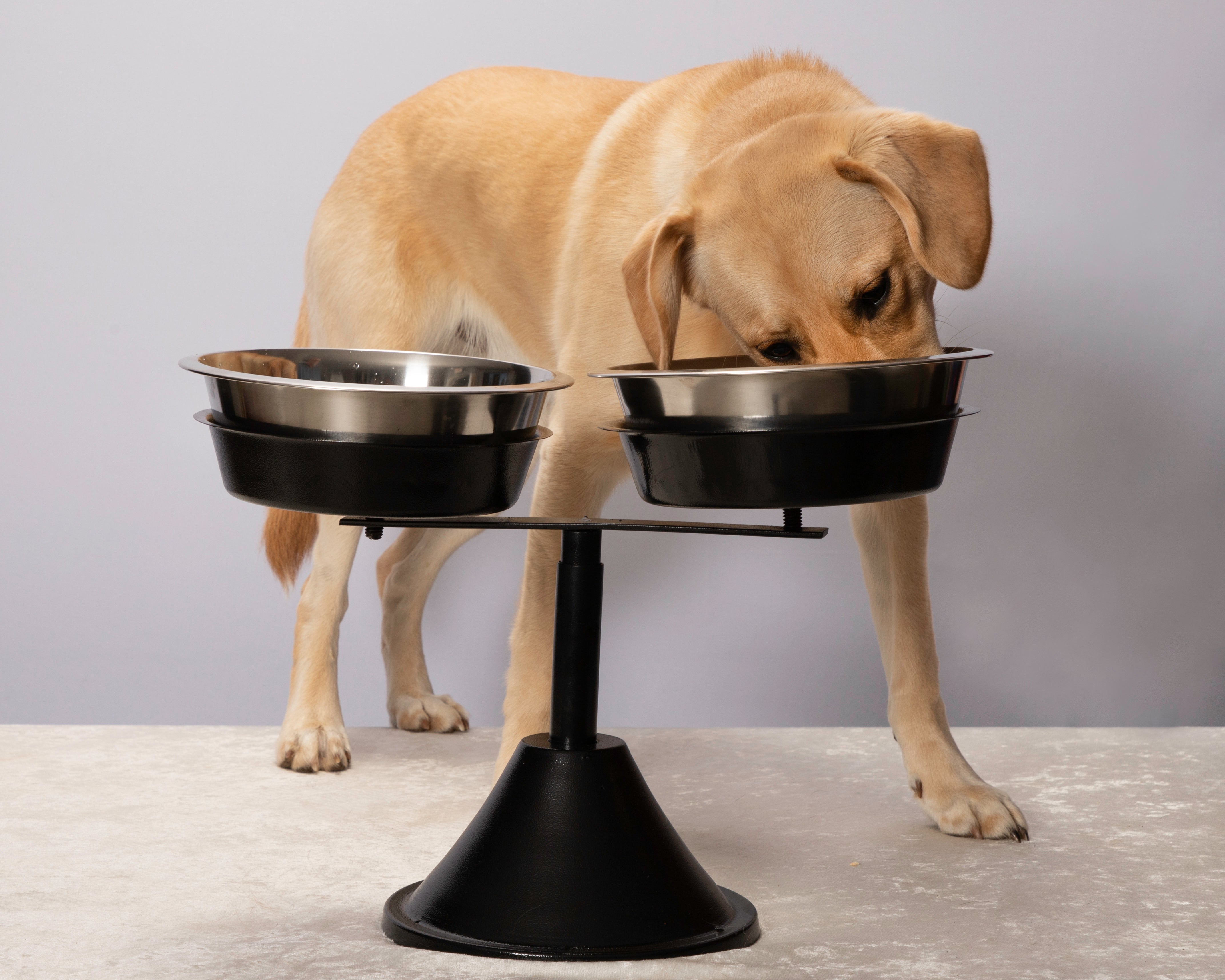 Elevated Dog Feeders | Raised Dog Dishes & Diners – BRAKE-FAST ...