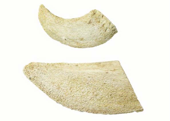 Water Buffalo Horn Core Dog Treat – QT Dog ~ Quality Pet Products