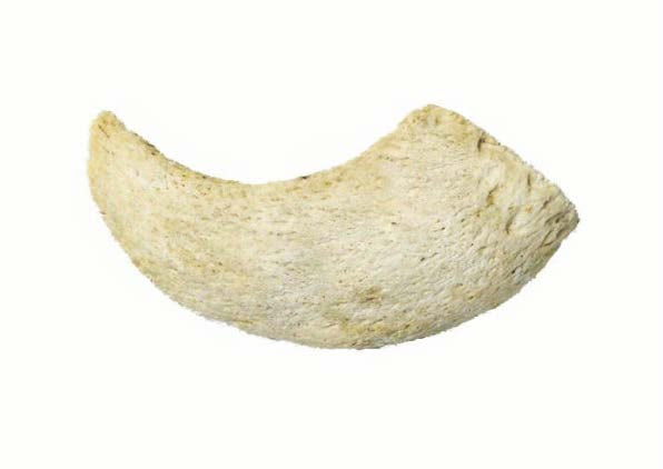 Water Buffalo Horn Core Dog Treat – QT Dog ~ Quality Pet Products